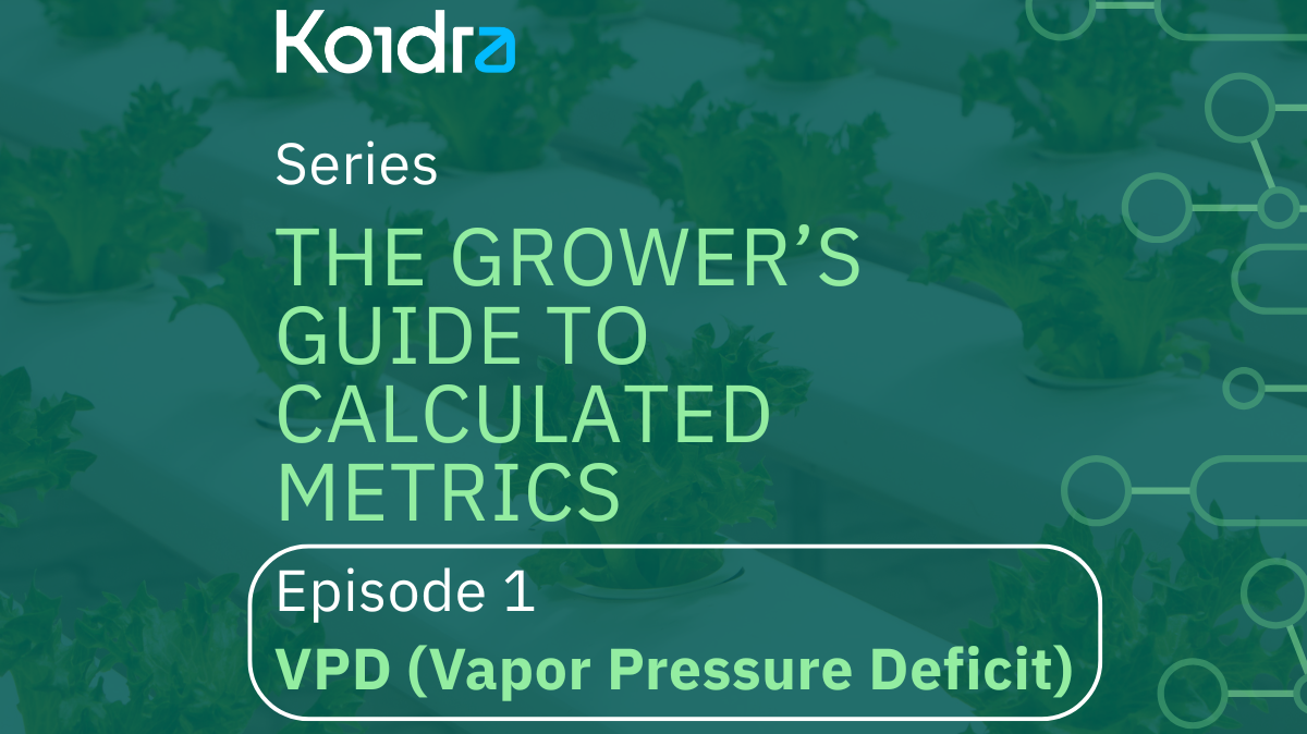 种植者指南：计算指标——第一集：水汽压差 (VPD) | Koidra